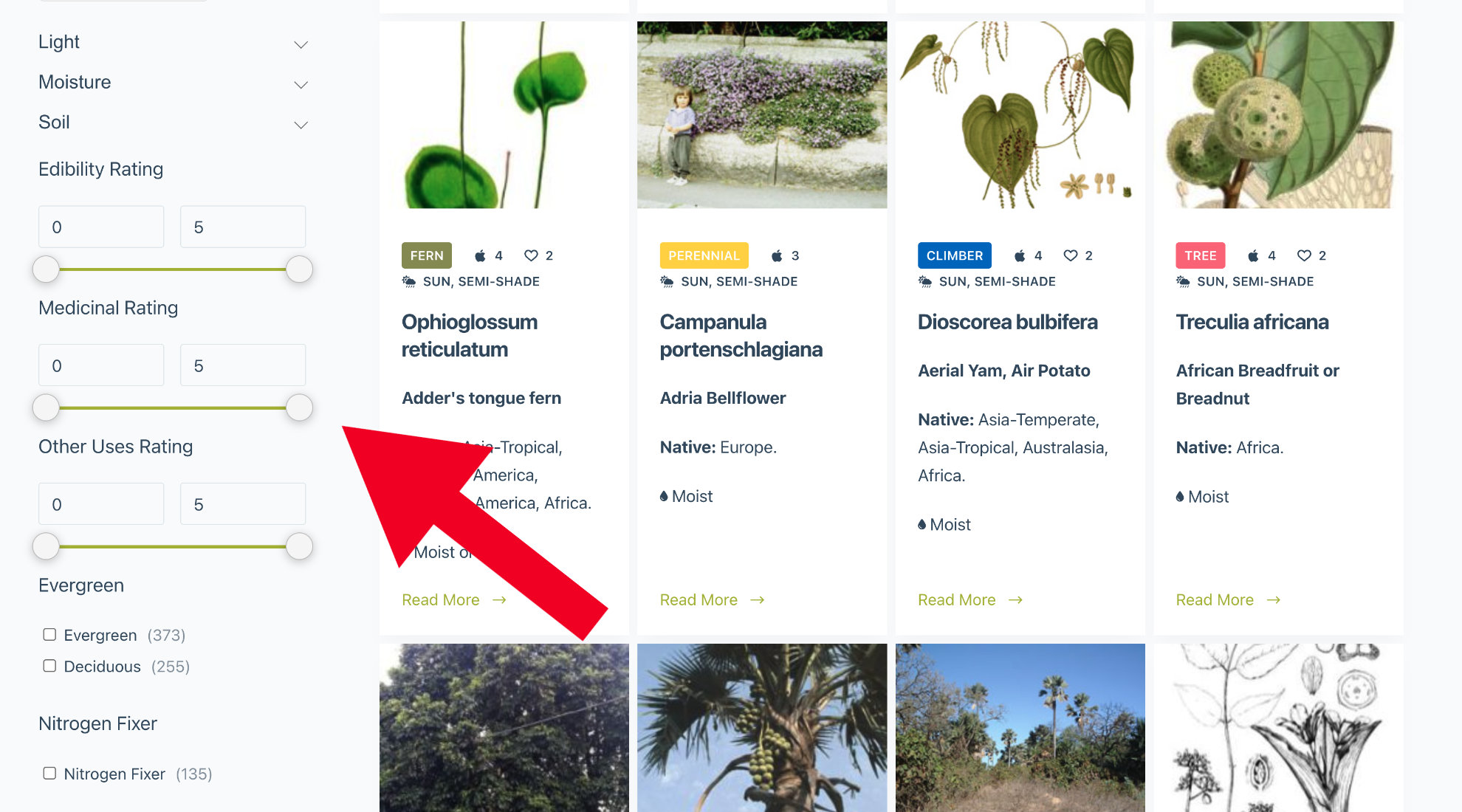 How To – Native Plant Search