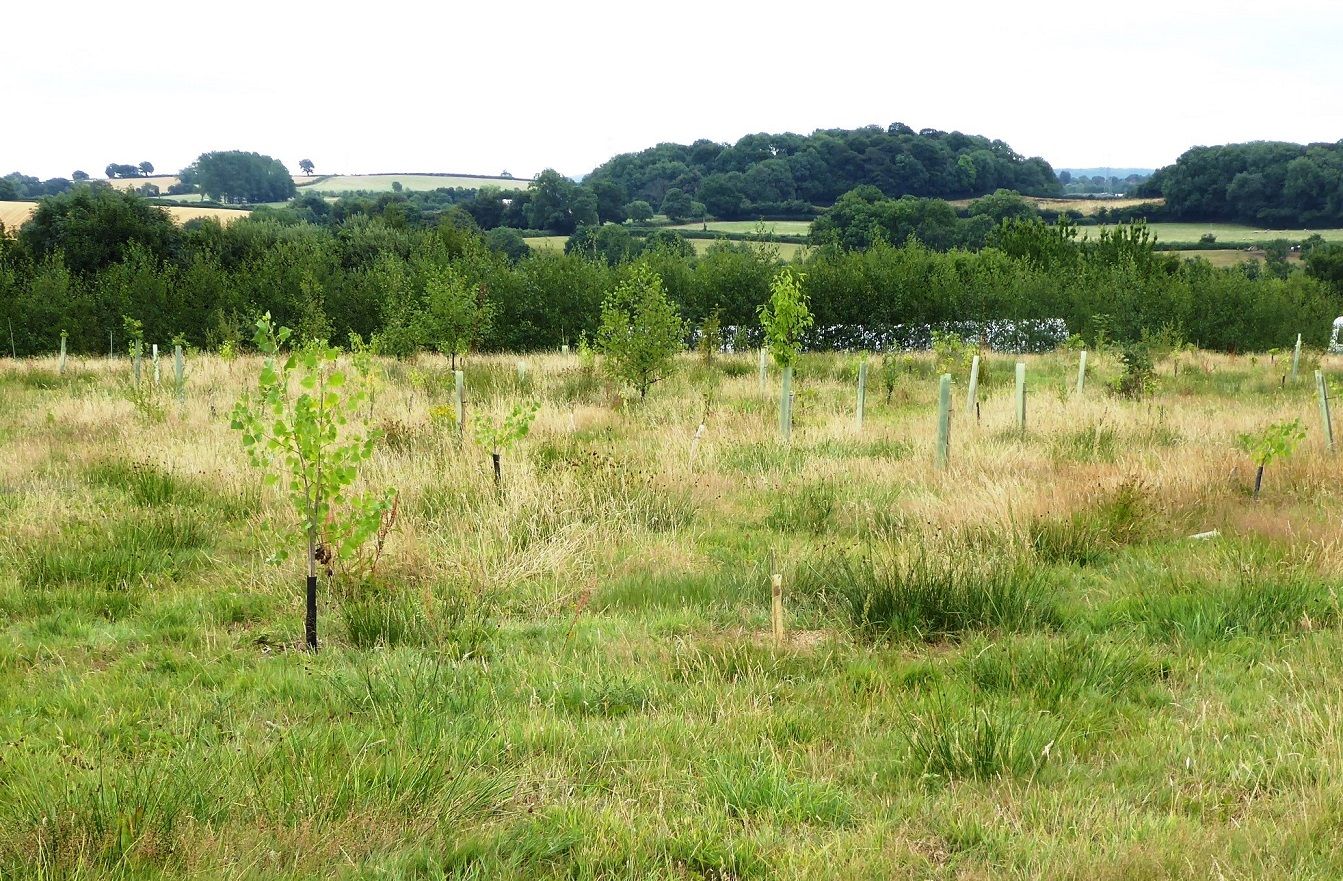 Visit to Elder Farm