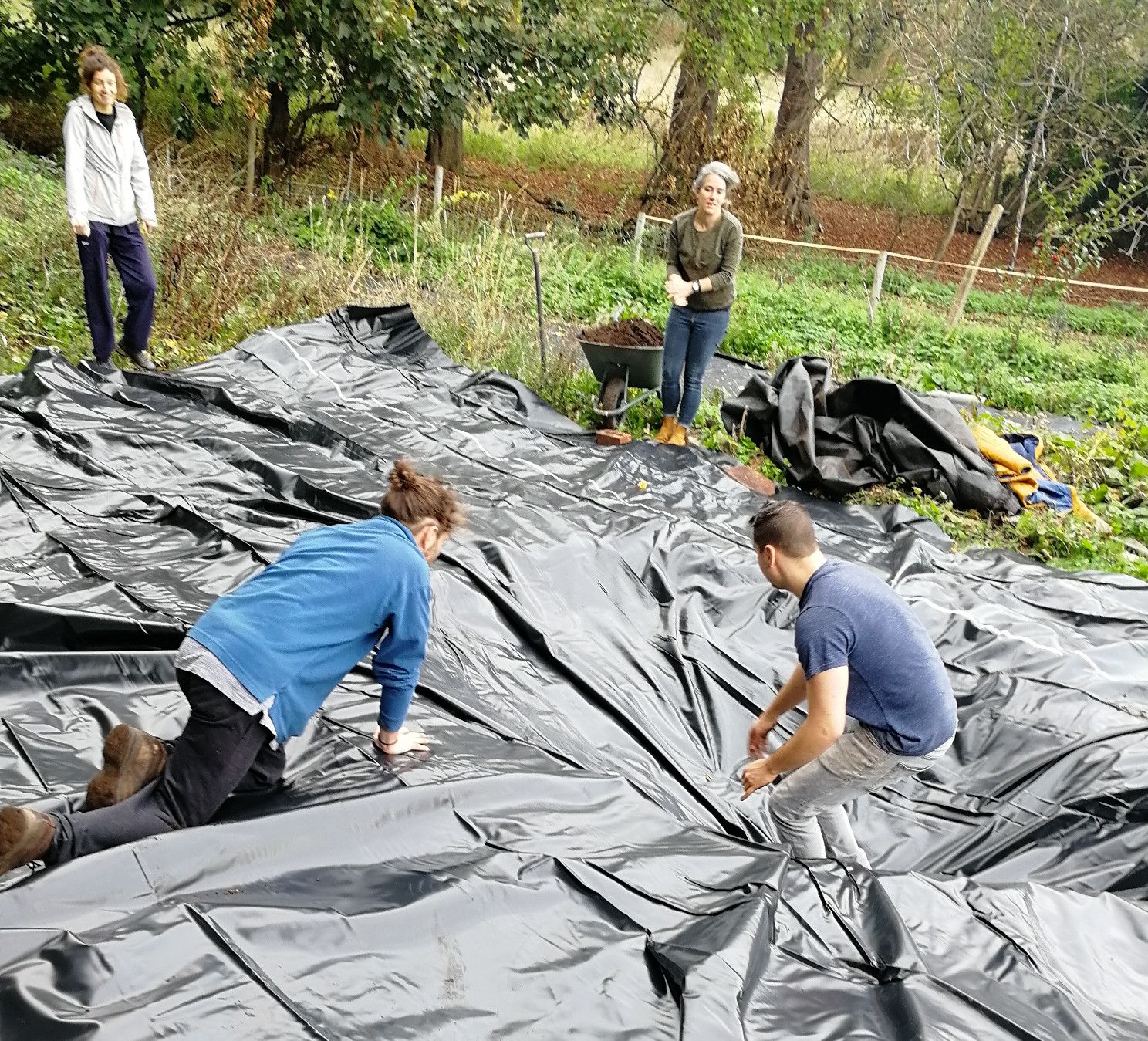 Bridge Farm Community, Bristol: Food Forest project