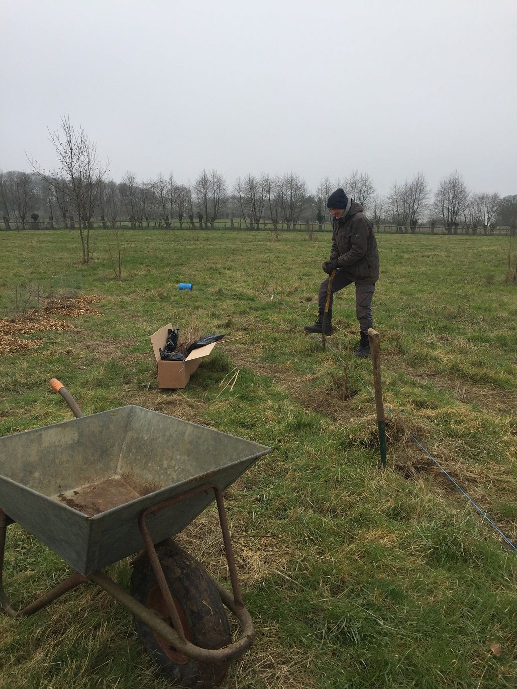 Tree of Life Veganics: A new Food Forest project supported by the PFAF ...