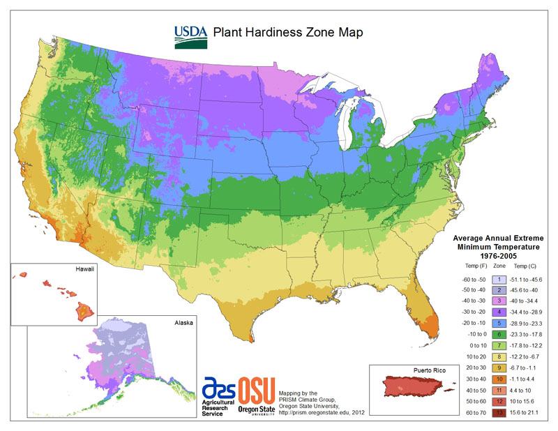 Pfaf Plant Search Pfaf Plant Search